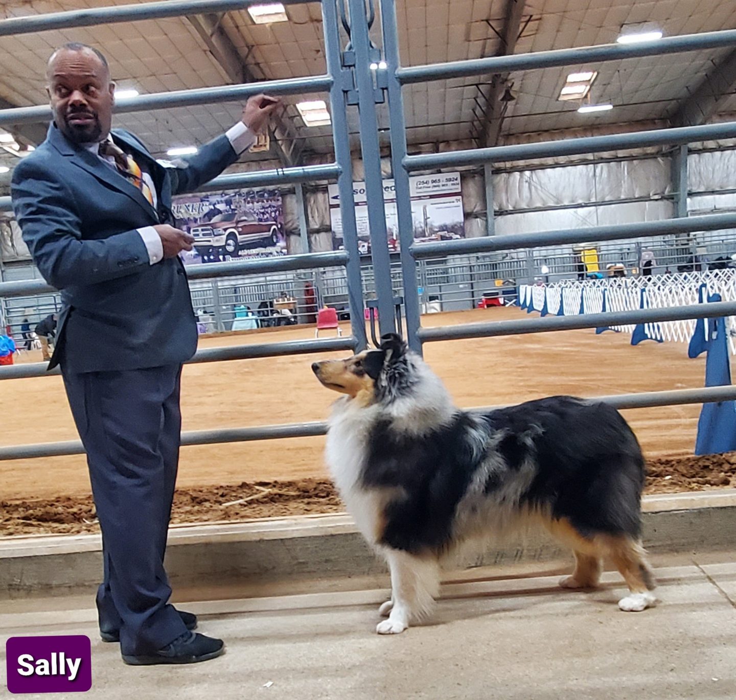 Dog show fun- 04/01/21 update! – Tairis Collies