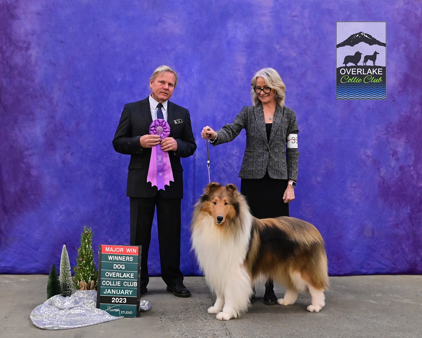 Show Fun – Tairis Collies