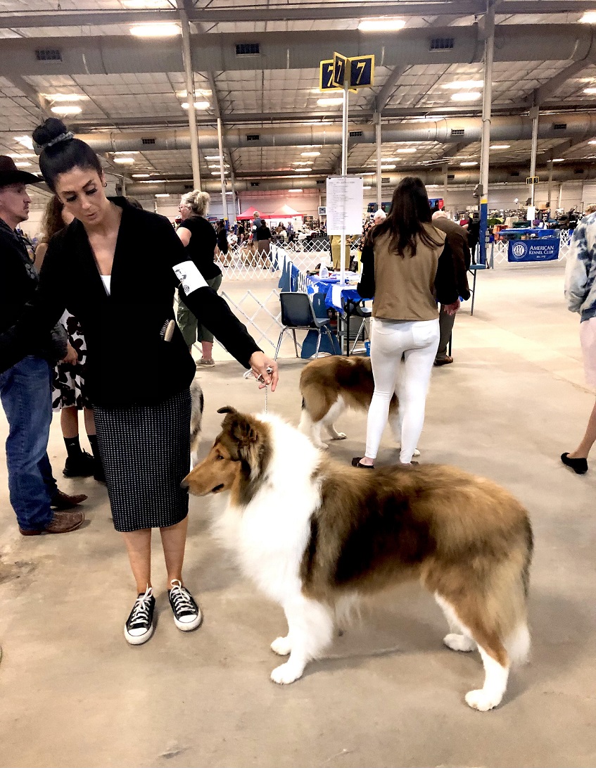 Fun times in Belton! – Tairis Collies